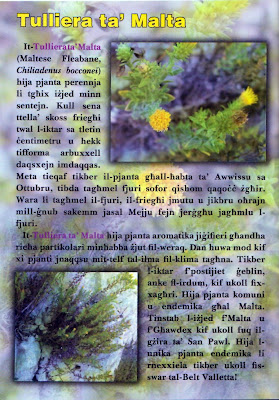 Jeffrey Sciberras: Sciberras J. (2007) IT-Tulliera Ta`Malta. Il ...
