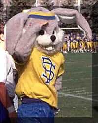 I got lost here on my way to Twitter: Commence Operation "Mascot Countdown"