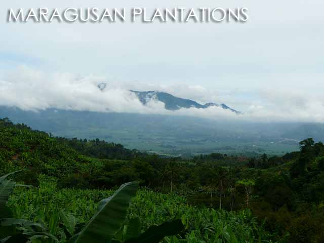 Atsup Maragusan: Ivan Henares blog post