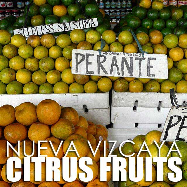 Nueva Vizcaya: Citrus fruit overload! Perante, satsuma, poncan & pomelo ...