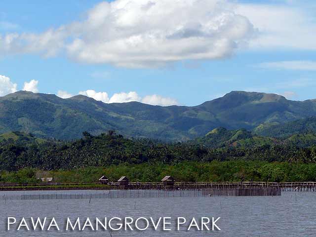 Masbate: Buntod Reef Marine Sanctuary, Pawa Mangrove Ecosystem & Bituon ...