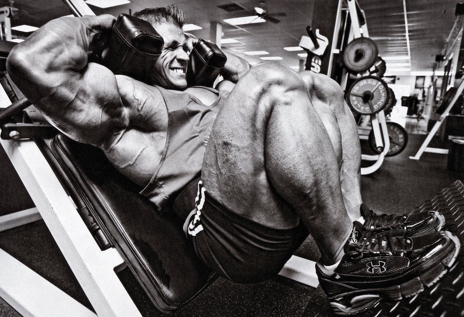 Best Wallpapers: Bodybuilders Wallpapers