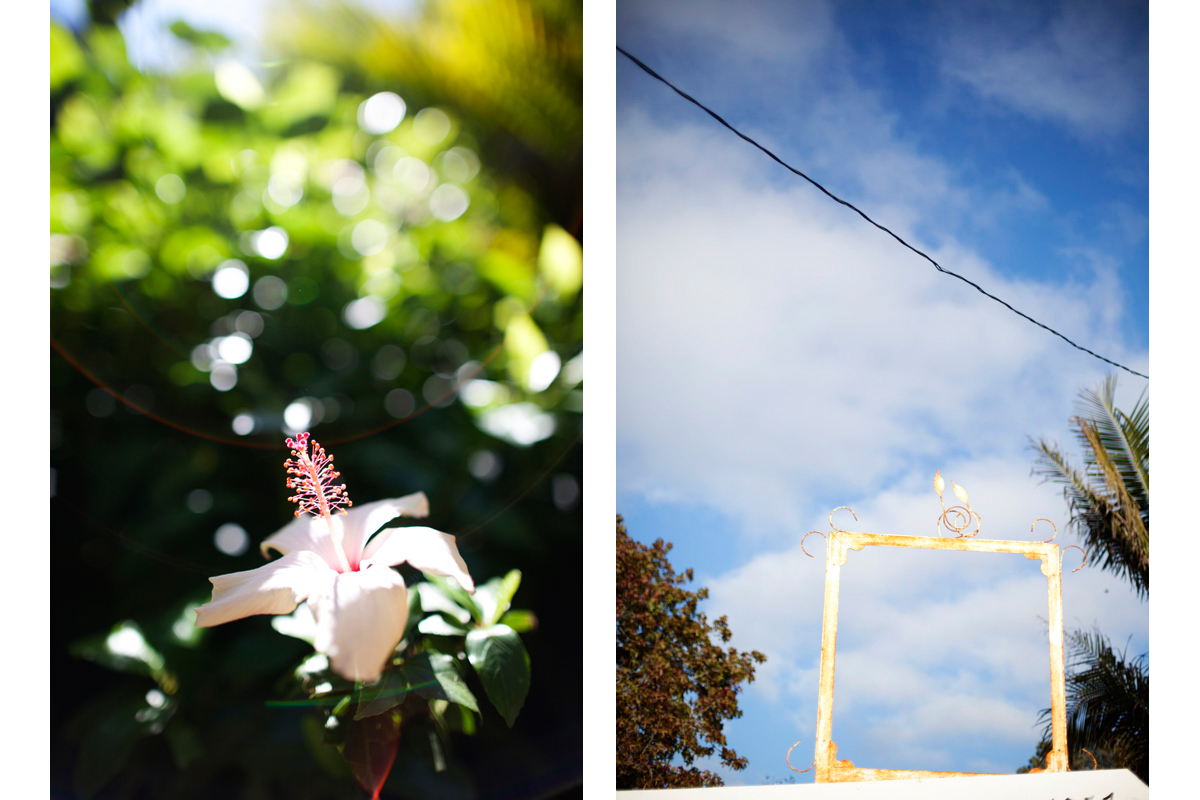 Jenelle Kappe Photography: 2010