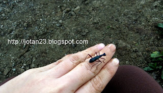 JOTAN23: Climbing Pico De Loro