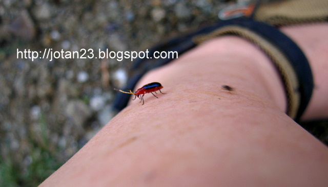 JOTAN23: Climbing Pico De Loro