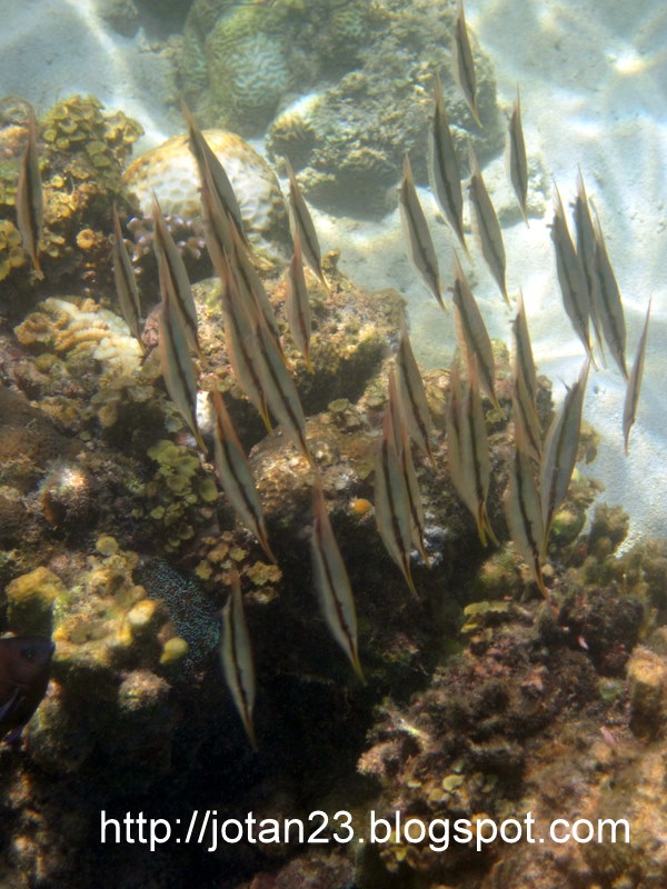 JOTAN23: Day ONE - DownBelow in Kota Kinabalu