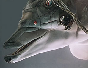 Johnny Mnemonic Dolphin