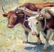 The Wilderness Way: Day 149 - Take My Yoke Upon You