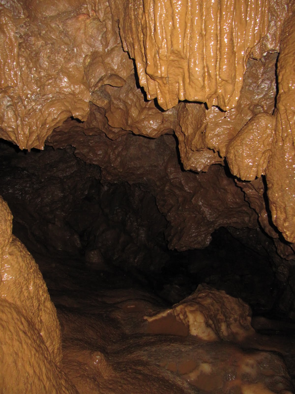 Margot's Blog: Caving, the muddy way!