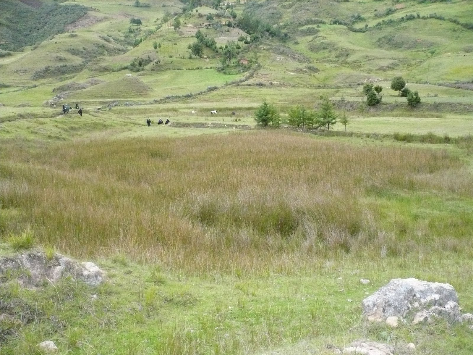 JUNTOS PIURA: PACAIPAMPA