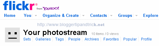 How To Add Flickr Photostream to Blogger | Blogger Tips and Tricks