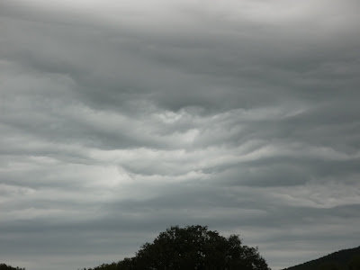 El temps a Palamós: Undulus asperatus