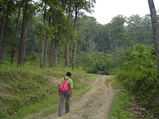 NATURE TRAILS & TREKS: Darjeeling, Siliguri: Panighata