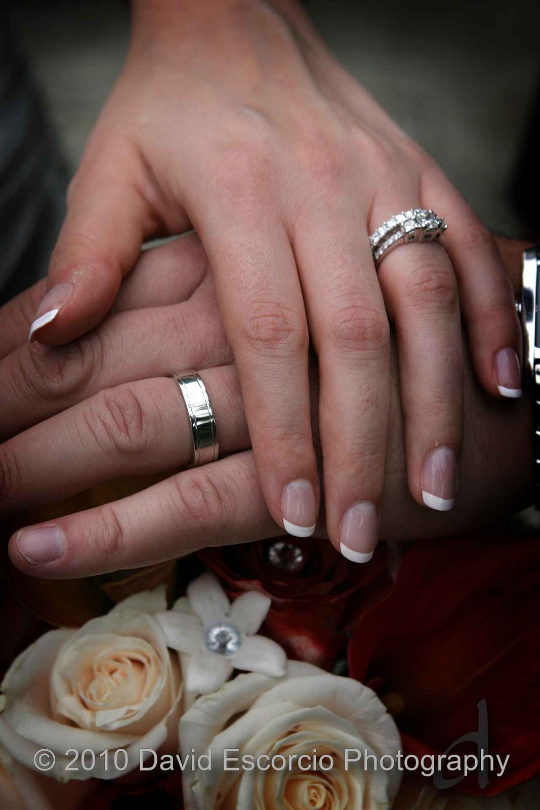 David Escorcio Photography: The Wedding of Matt & Laura