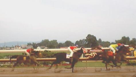 Recreation in West Virginia: Hollywood Casino @ Chrales Town Races