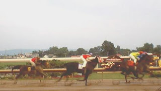 Recreation in West Virginia: Hollywood Casino @ Chrales Town Races