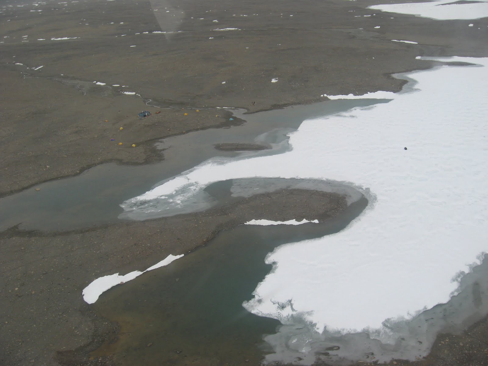 Polar Soils Blog: Patterns in Antarctic Soil