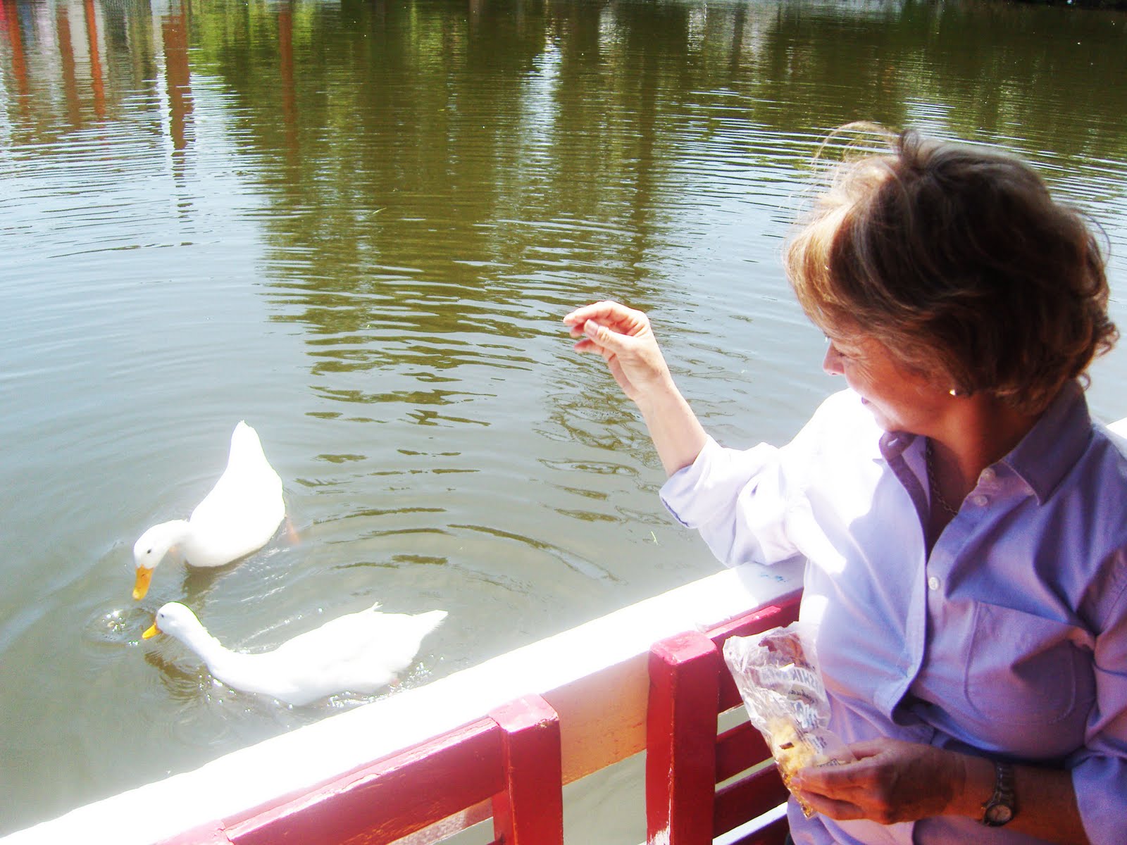 madeinglorie: Miércoles de Talento Mexicano. Frida Kahlo. Entrevista a ...