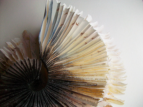 Amazing Paper Art Work