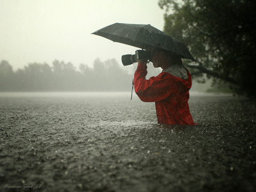 Beautiful photography: Amazing Rain Photography