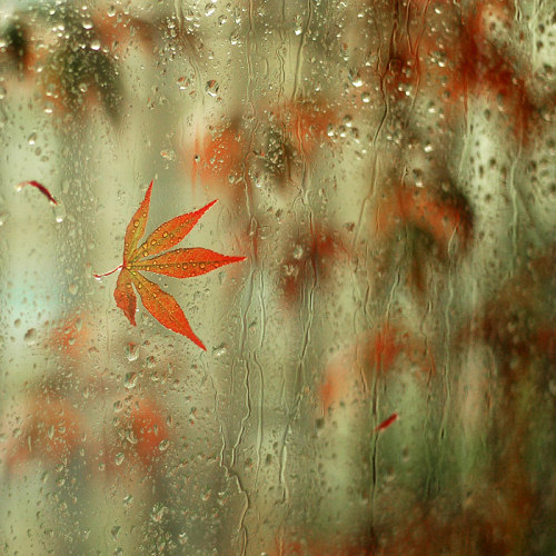 Beautiful photography: Amazing Rain Photography Part 2