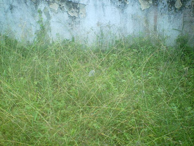 SENI LAMA MELAYU (MALAY OLDEN ART): Makam Raja-raja Jembal (Tombs of ...