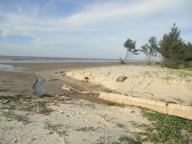 BERPETUALANG KE ACEH: South China Sea from Kuala Belait