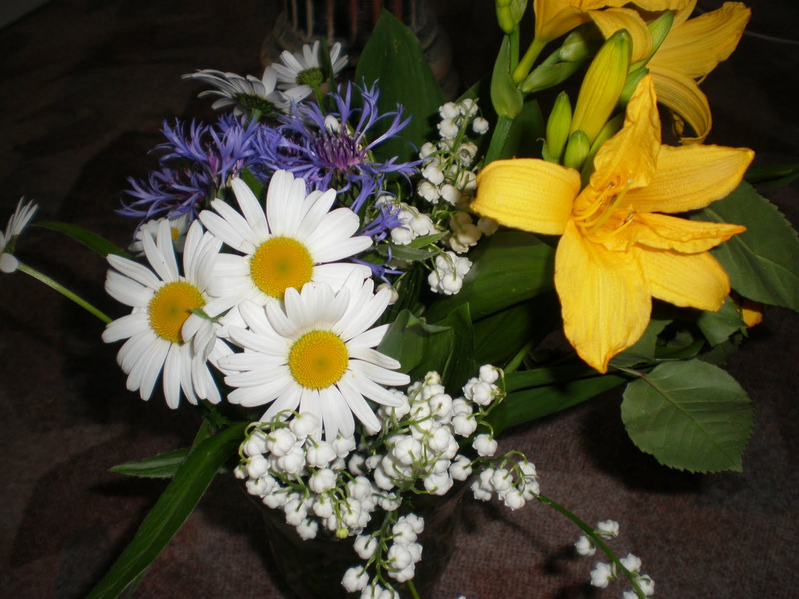 Suure-Jaani Gümnaasiumi 5 ab, 6 ab, 7 ab, 8ab, 9ab: juuni 2010