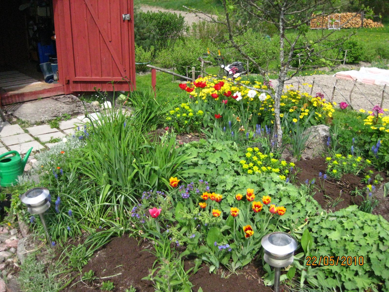 ROSENDAL torpet: juni 2010