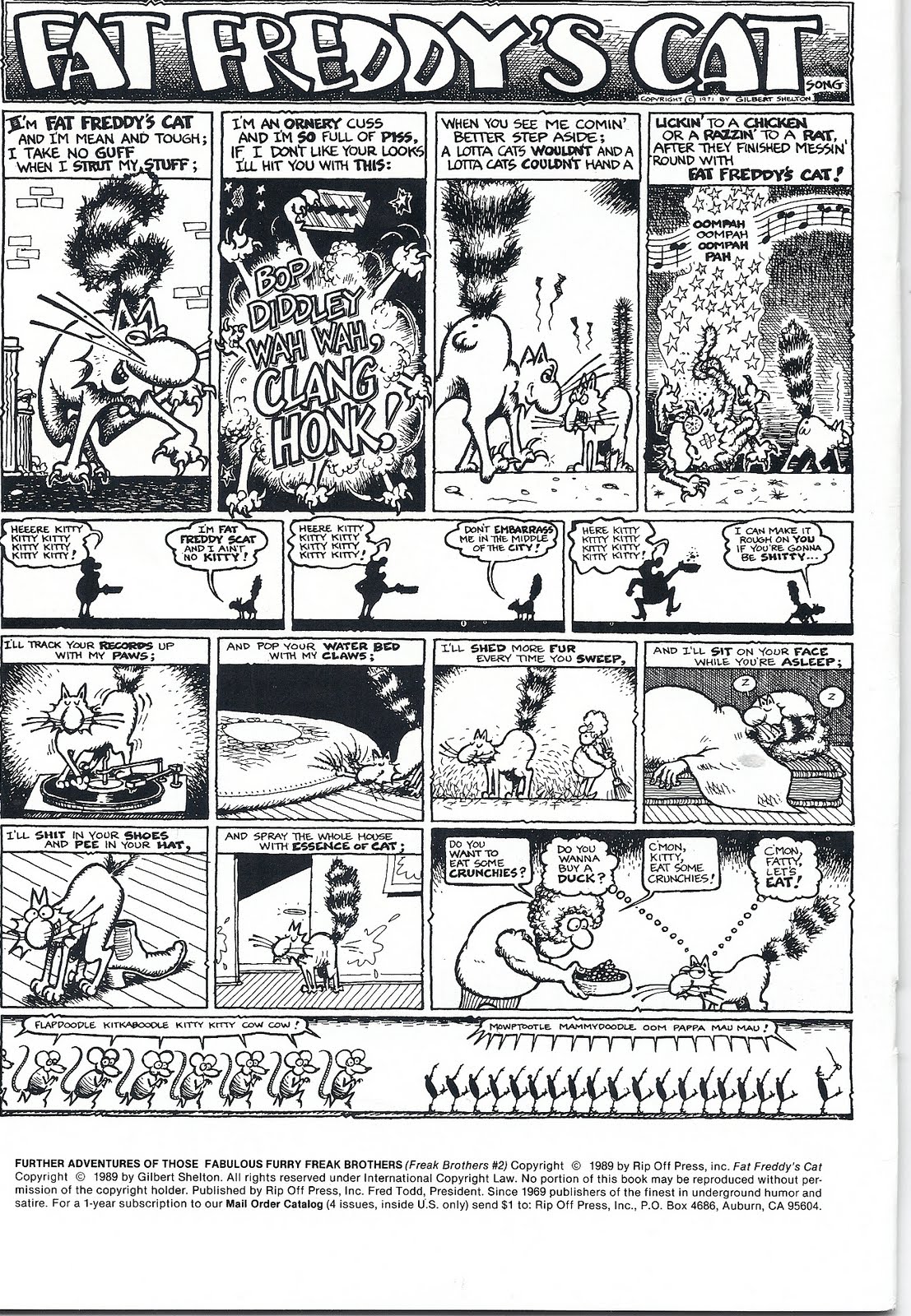 Chicken Fat: SUNDAY FUNNIES - FAT FREDDY'S CAT