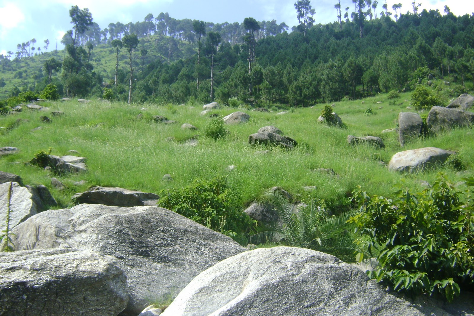 Shinkiari: Pictures Gallery