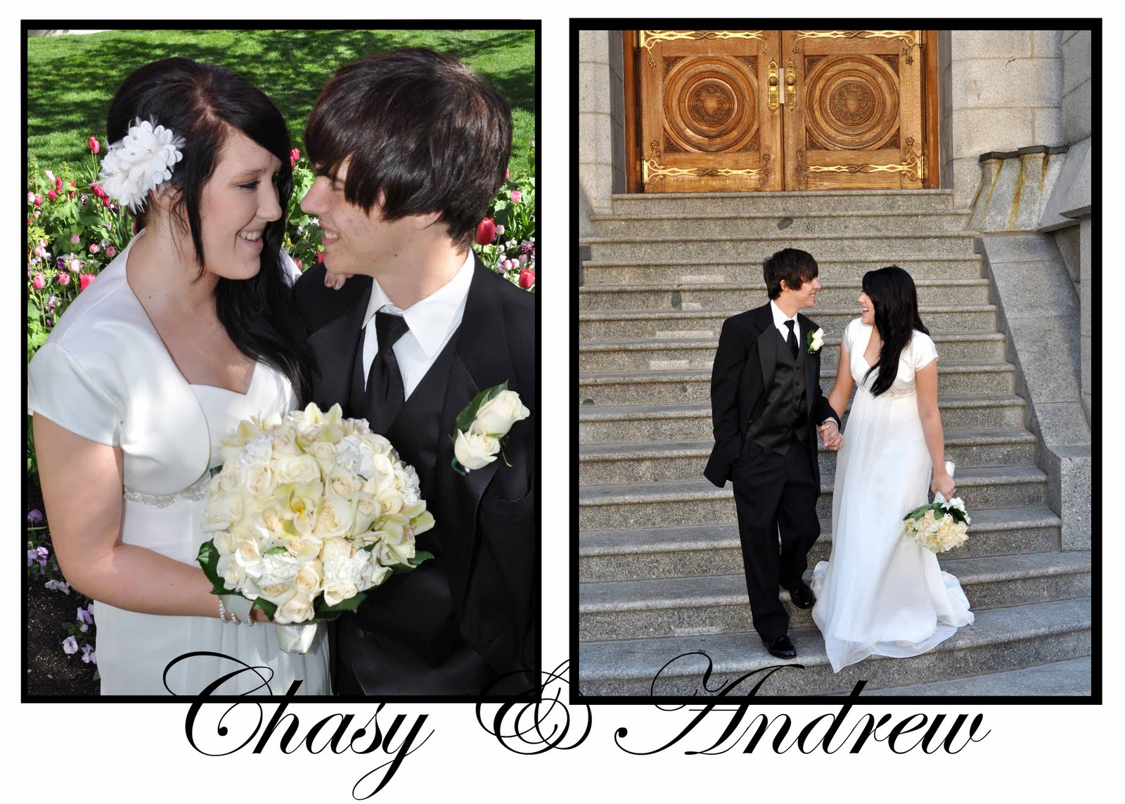 Jennifer Kamp Photography