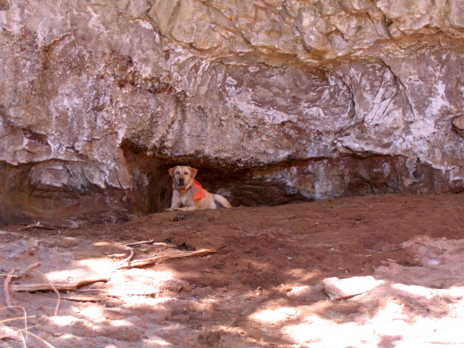 Janie and Steve, Utah Trails: Tabby Mountain's Natural Bridge