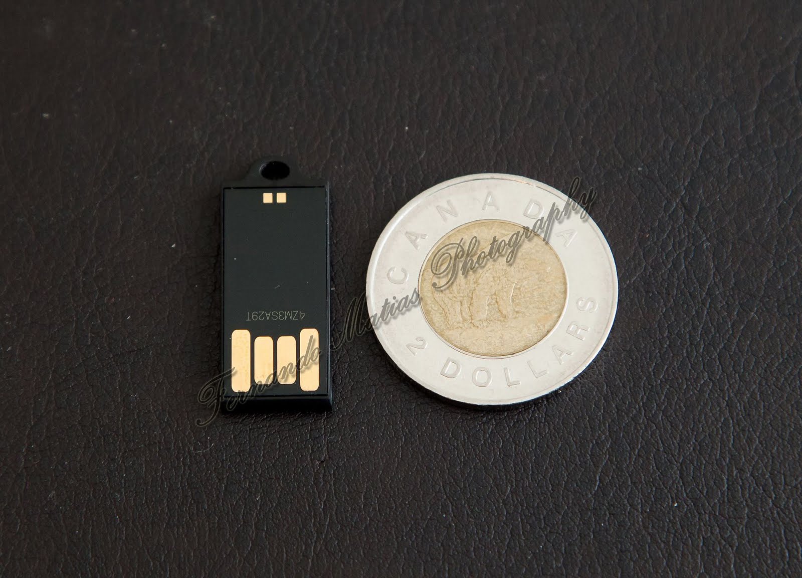 Fernando Matias Photography - Ottawa Ontario - Ottawa Wedding ...