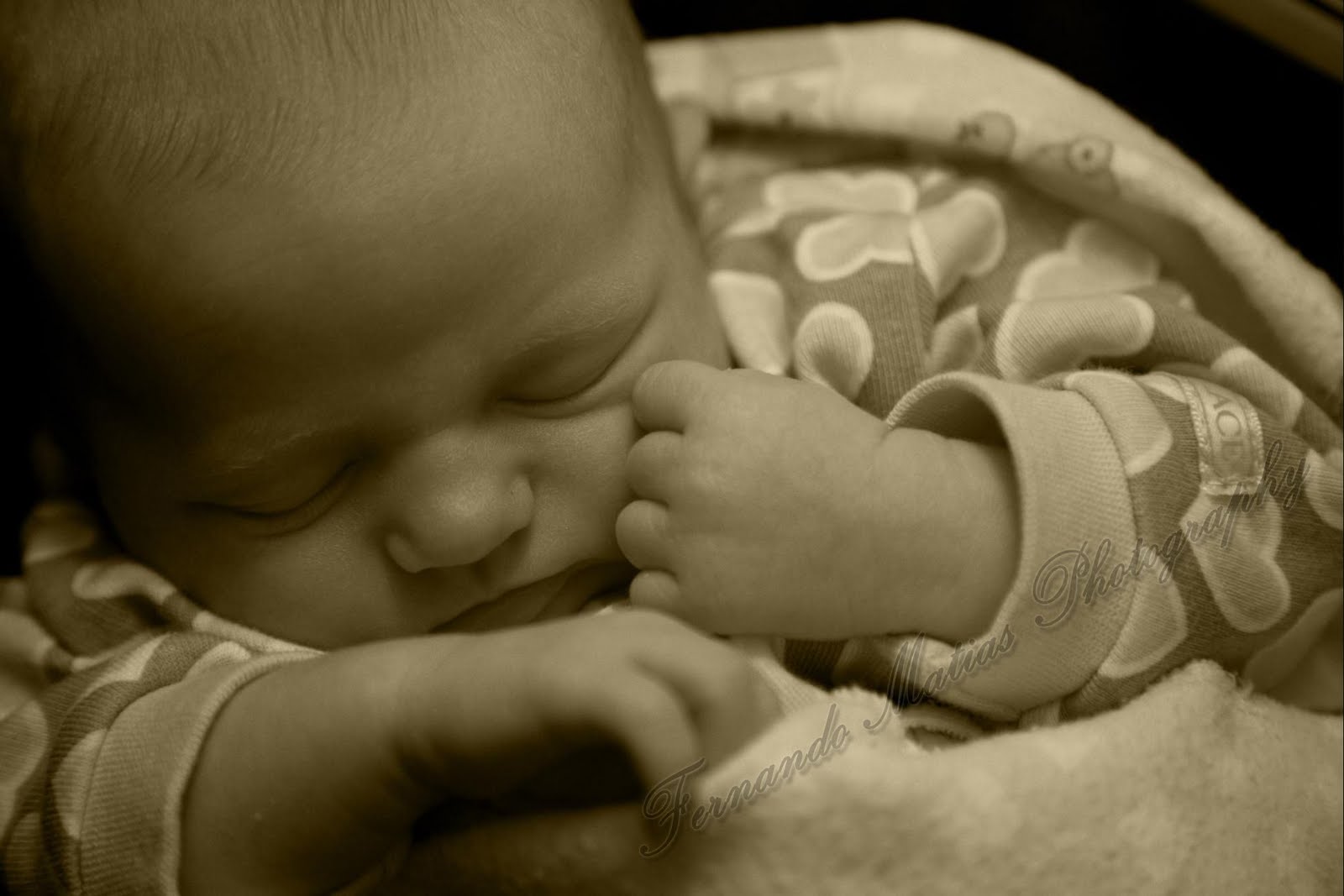 Fernando Matias Photography - Ottawa Ontario - Ottawa Wedding ...