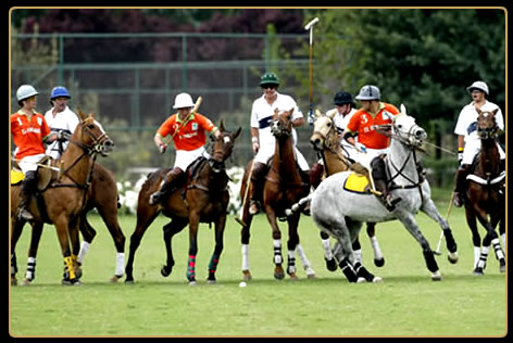 Deportes curiosos: El Polo