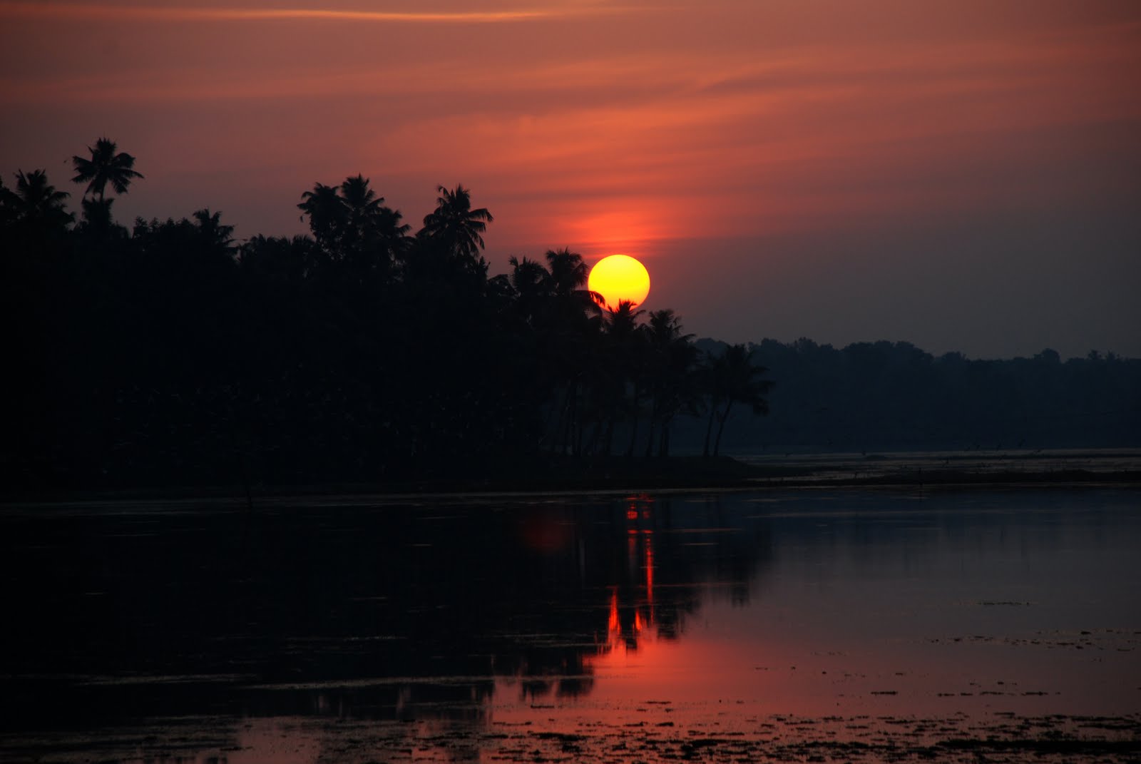 pavumba പാവുമ്പ: Pavumba Image Gallery