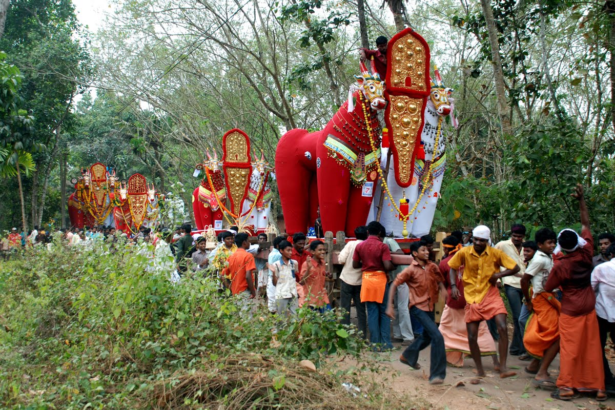 pavumba പാവുമ്പ: Pavumba Image Gallery