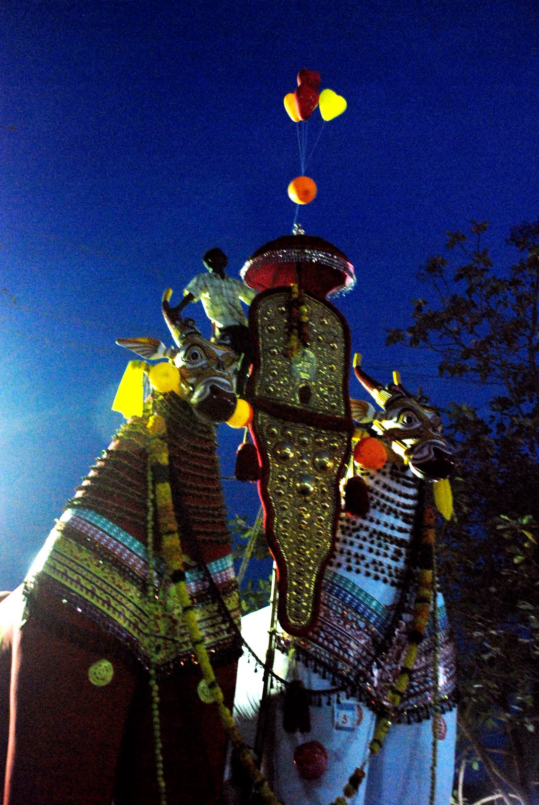 pavumba പാവുമ്പ: Pavumba Image Gallery