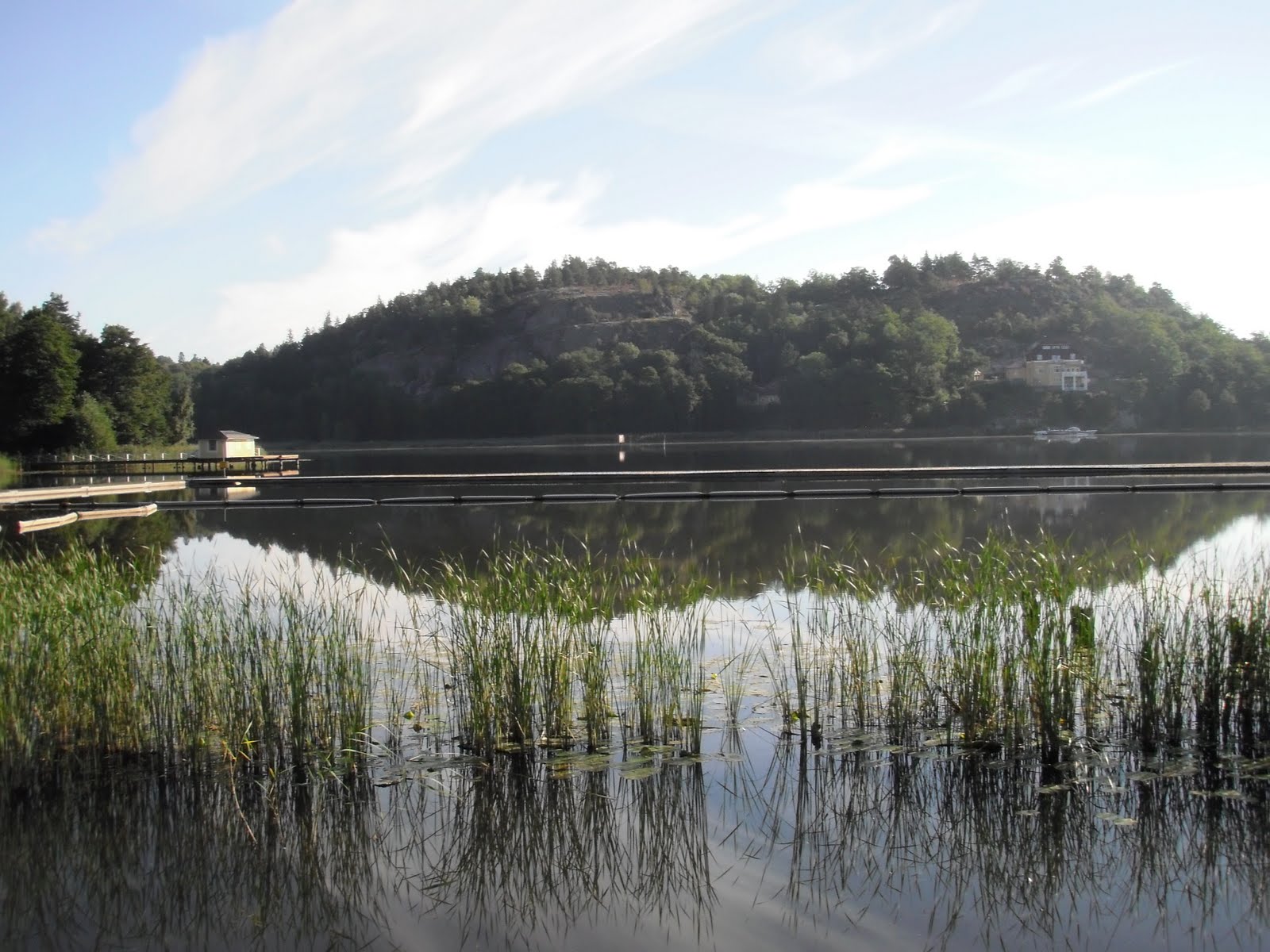 In the shadow of the circus: Stockholm, chippat och klart!