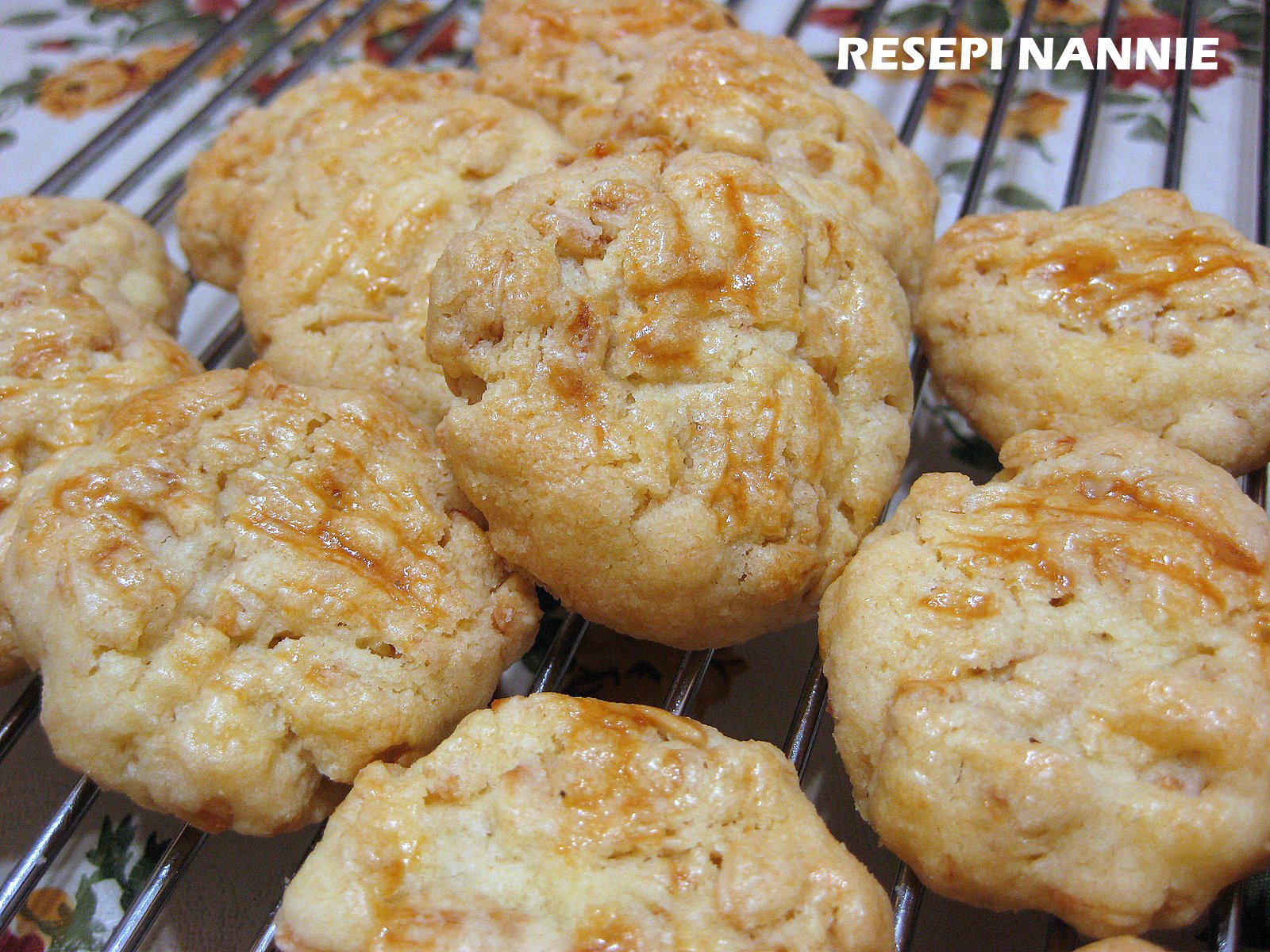 BISKUT OATS RANGUP - Tips Resep Cara Membuat