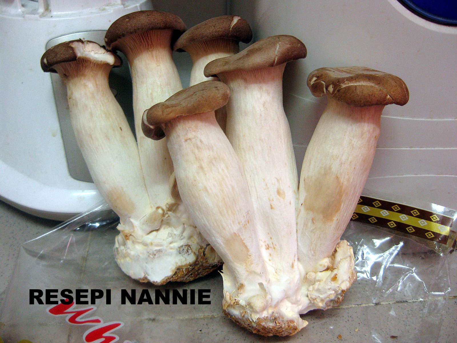 Cendawan raja tumis sos tiram - Tips Resep Cara Membuat