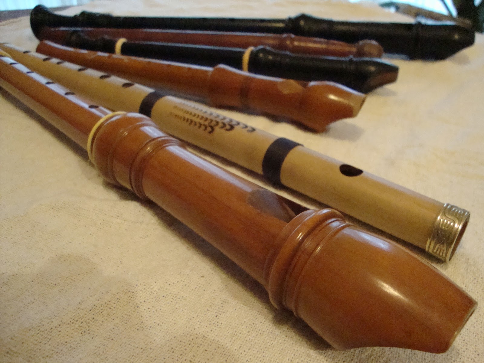 Ensamble Cantus Firmus: Instrumentos