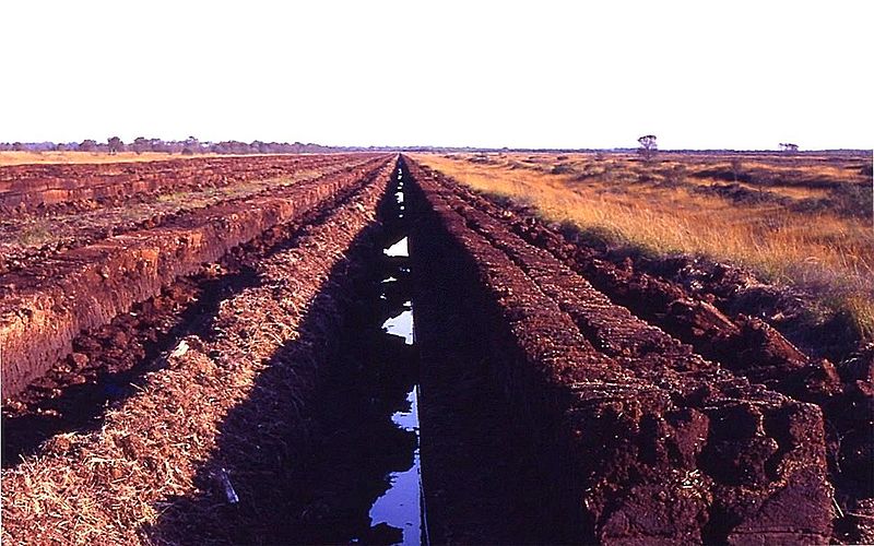 Rocas Organogéneas: Tipos de carbón