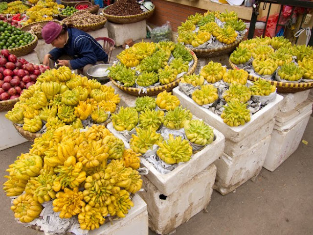 Buddha’s Hand – The Fruit that Prays ~ Kuriositas