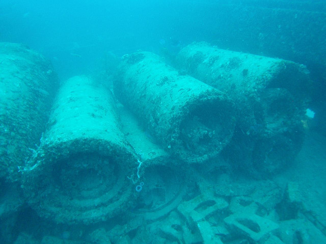 The Neptune Memorial Reef – An Under Sea Cemetery ~ Kuriositas