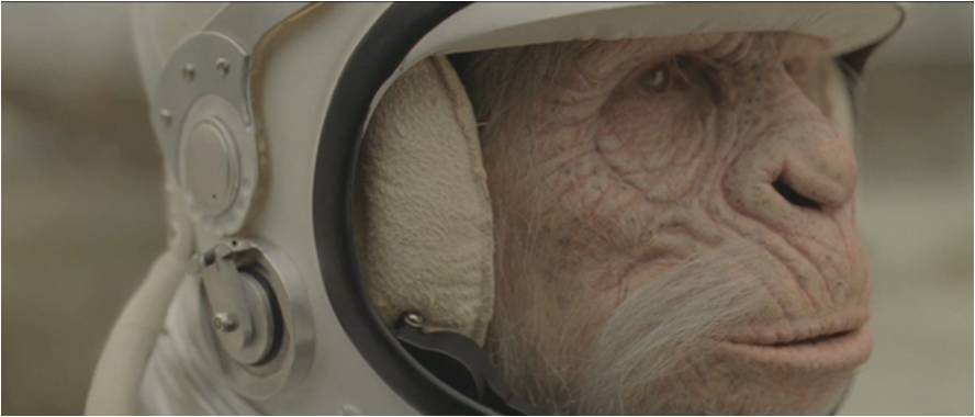 Space Chimp ~ Kuriositas