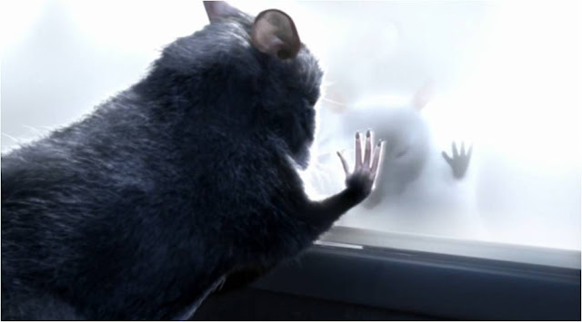 One Rat Short ~ Kuriositas