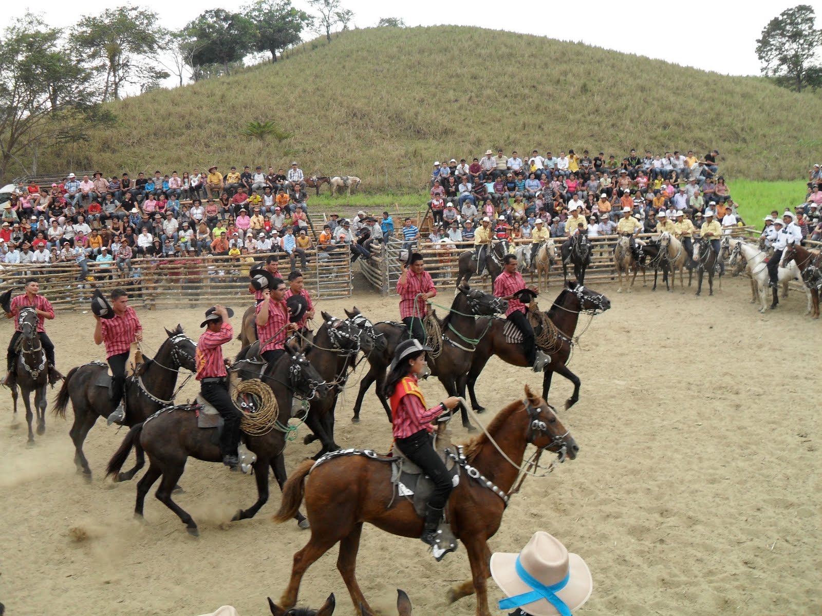 MANABI ....ECUADOR: RODEO MONTUBIO EN OLMEDO