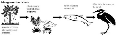 Student Blog: February 2010